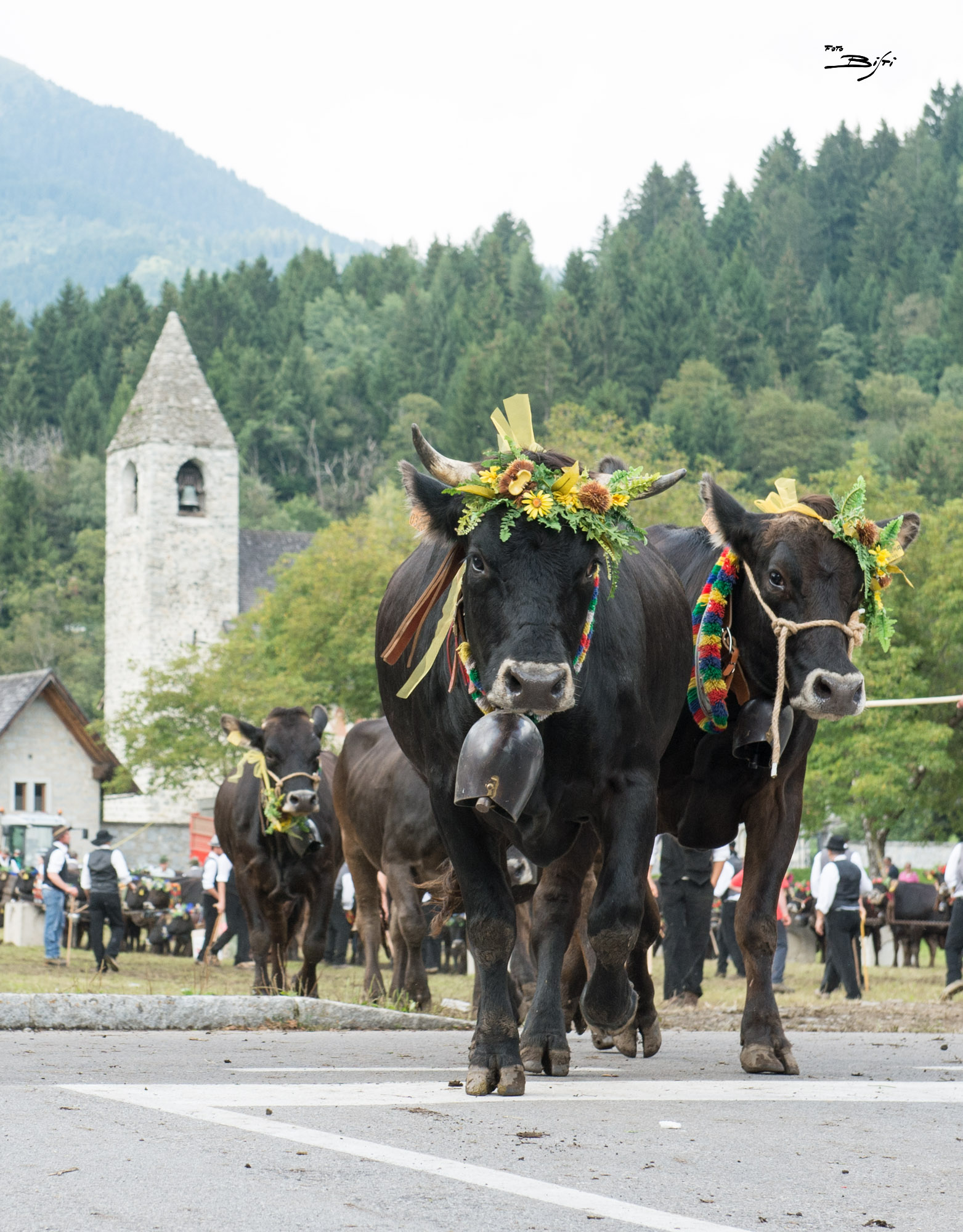 Traditions - Hotel Europeo